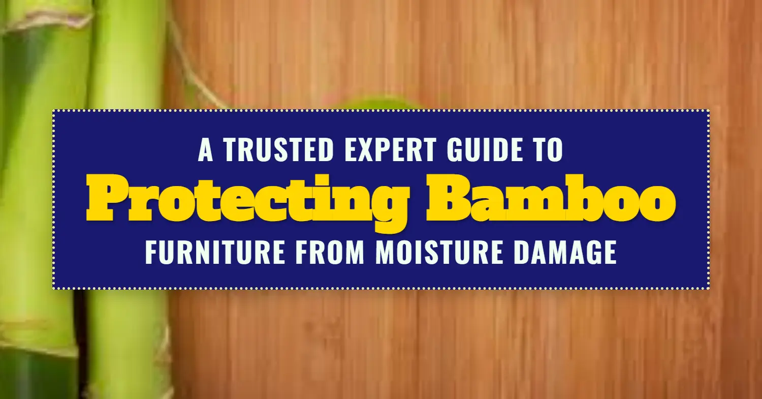 A Trusted Expert Guide To Protecting Bamboo Furniture From Moisture ...